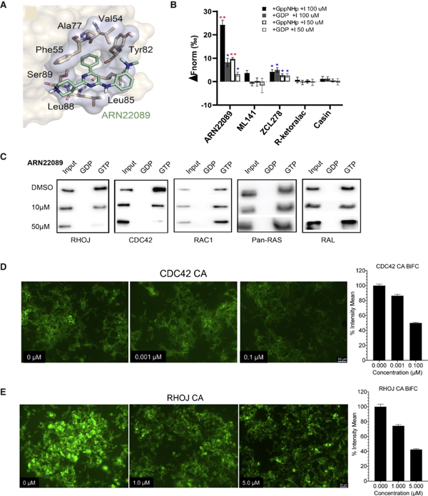 Cell Reports|CDC42相关靶点显示出良好的抗癌活性 - 知乎