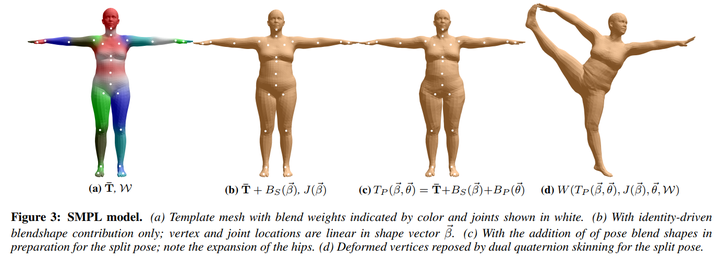 SMPL论文解读和相关基础知识介绍 - 知乎