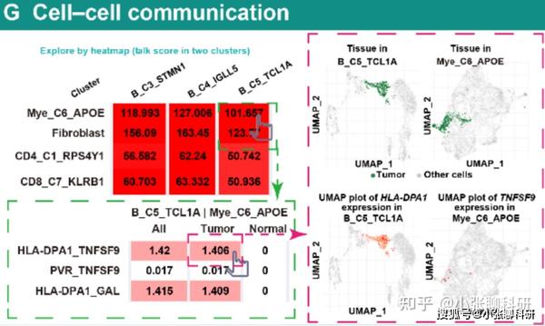 玩转冷热肿瘤，得有神器！——手把手教你用TIGER数据库进行免疫治疗研究！ - 知乎