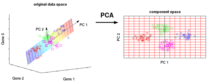 scRNA-seq——第五章 归一化和主成分分析 - 知乎
