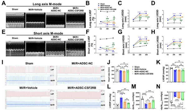 【干货】腺病毒AdV载体在疾病治疗及发病机制研究中的应用 - 知乎