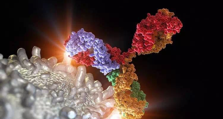 CrossMab的十年 - 知乎