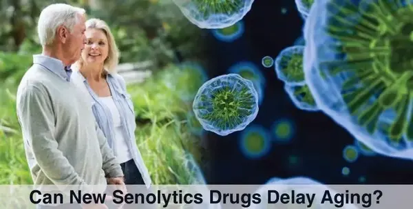Science观点 | 清除衰老细胞，Senolytic疗法或将可延缓衰老 - 知乎