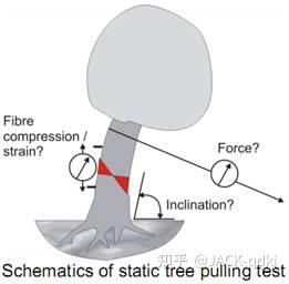 PiCUS TreeQinetic树木拉伸测试仪 - 知乎