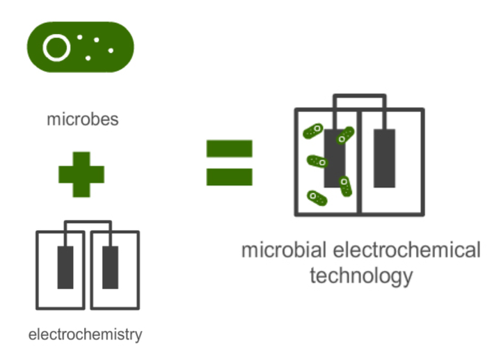 细菌/电极界面修饰增强微生物EET - 知乎