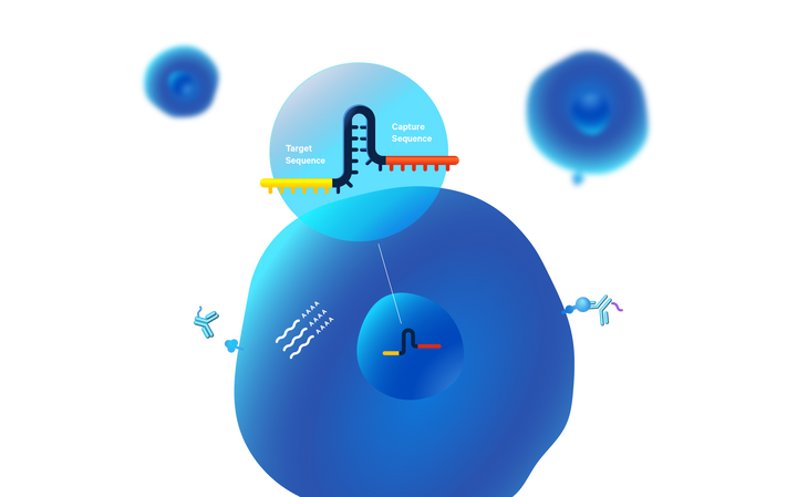 小白课堂 | 单细胞CRISPR筛选 - 知乎