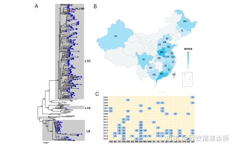 哈兽研最新研究成果：我国PRRSV RFLP 1-4-4 L1C毒株的流行病学分析 - 知乎