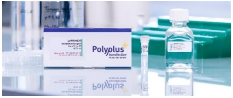 INTERFERin®是基于阳离子聚合物PEI的化学转染试剂。 使用方便，转染效率高 - 知乎