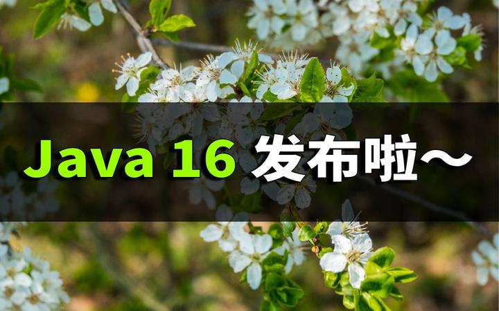 Java 16 发布啦～ - 知乎