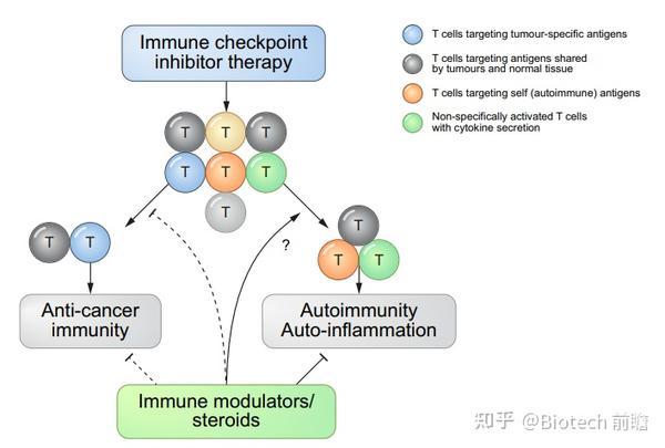HBV及HCV相关肝细胞癌的发病机制，免疫获益差异原因解析 - 知乎