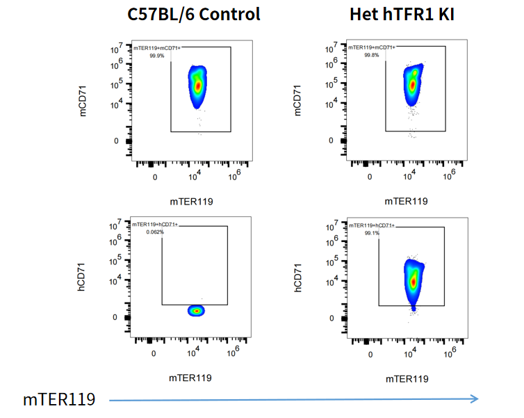 一文揭秘！肿瘤和脑部疾病治疗新靶点--TFR1 - 知乎
