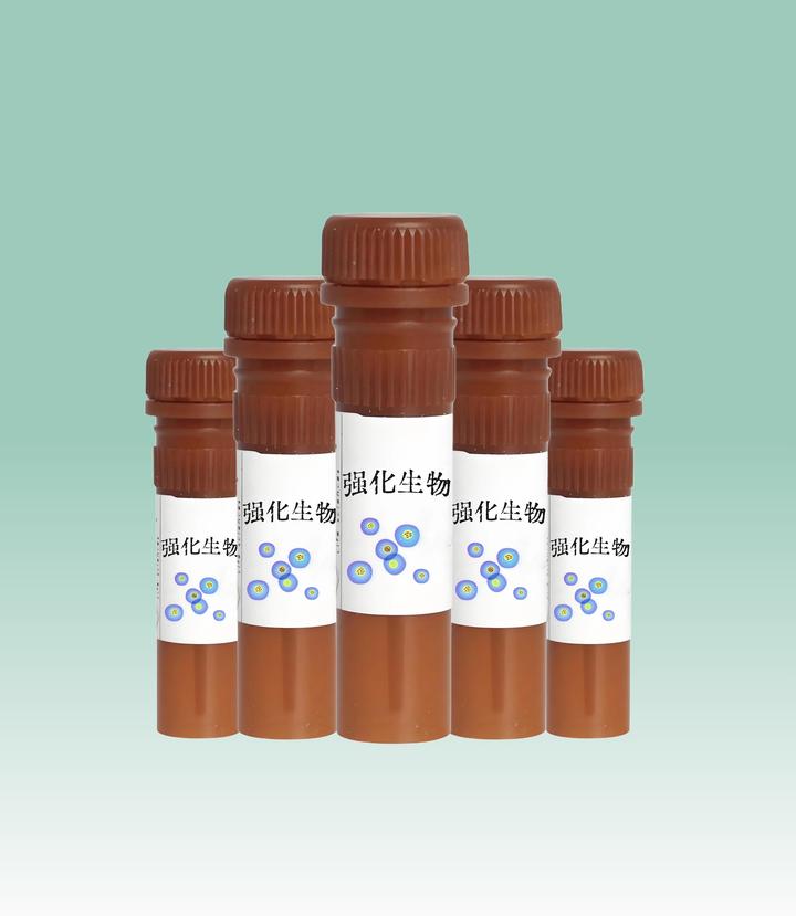 EnhancedGreen Fluorescent Protein，EGFP的三维结构特征 - 知乎