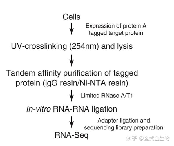 LncRNA的作用机制及研究方法 - 知乎