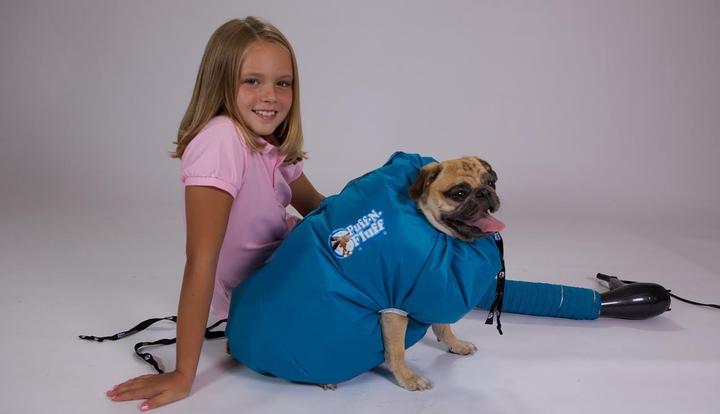 【初级趣读】Lisa's Fluffy - 知乎