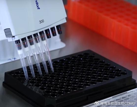 【耀文解读】利用RiboGreen检测包封率 - 知乎