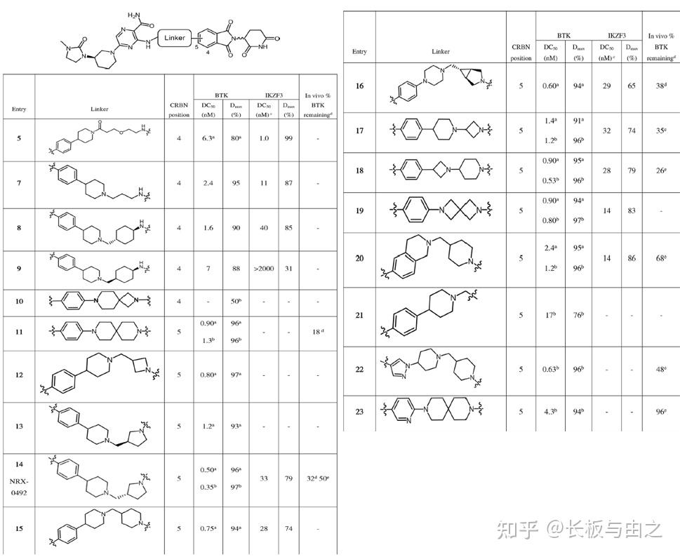 PROTAC临床分子的研发故事：BTK降解剂NX-2127的发现和临床前评价 - 知乎