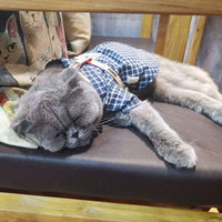 二维相关（2D-COS）基于Origin2019以上版本 - 知乎