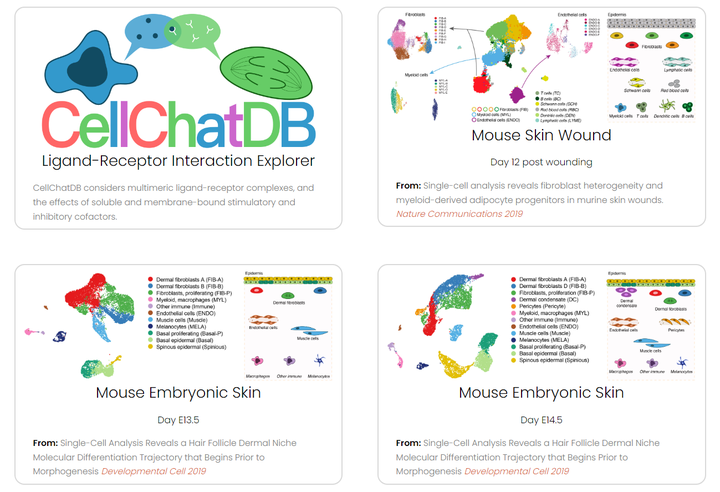 CellChat细胞通讯分析（下）--实操代码·多个数据集比较分析 - 知乎