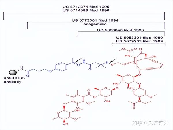 崔锡强 | ADC药物Payload的专利特性及布局策略 - 知乎