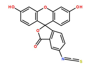 FITC/cy5-透明质酸，荧光标记物 - 知乎