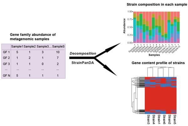 iMeta | 第1卷第3期来自8个国家的14篇文章正式发布(2022.9) - 知乎