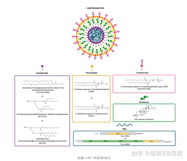 DOE优化自复制RNA-LNP制备工艺，实现最优表达和免疫效应 - 知乎