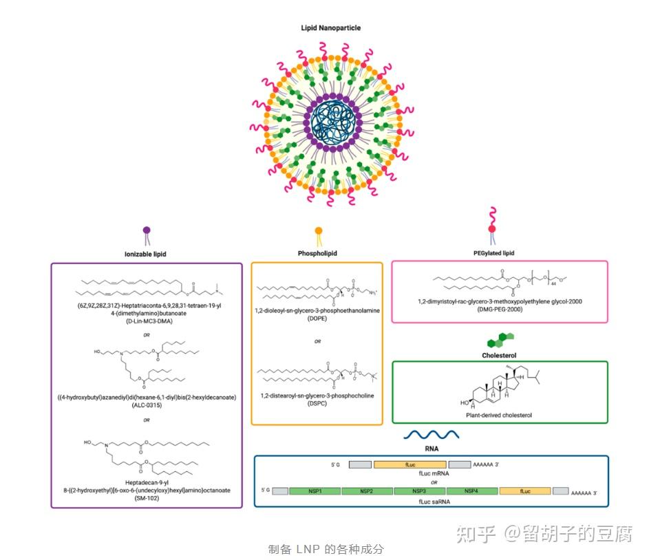 DOE优化自复制RNA-LNP制备工艺，实现最优表达和免疫效应 - 知乎