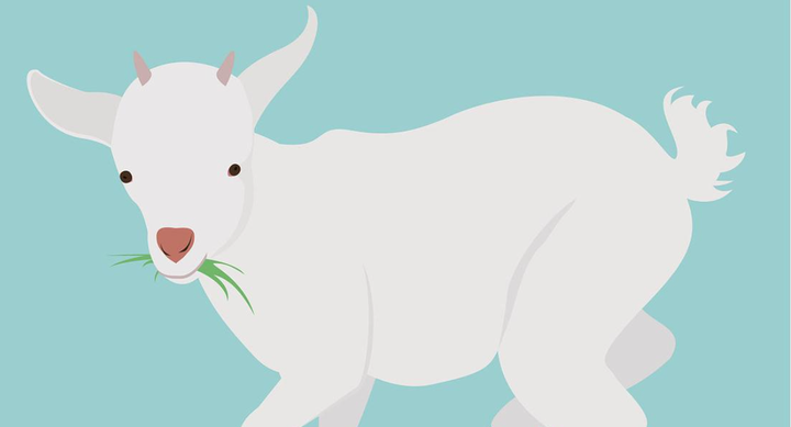 近乎完美！最强算术语言模型: Goat-7B，干翻GPT-4，怒越PaLM-540B！24G可训练 - 知乎