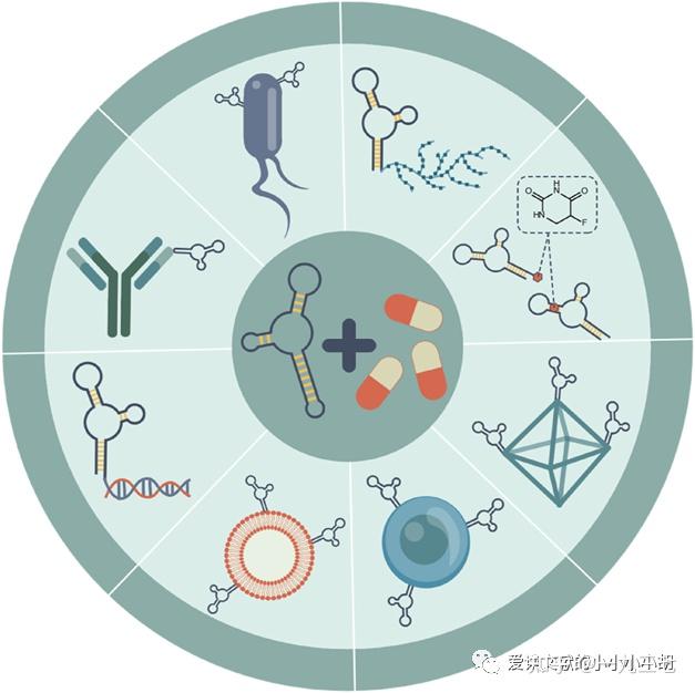 核酸适体偶联药物（ApDC）在肿瘤治疗中的最新进展 - 知乎