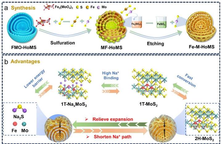 Angew.：Fe单原子掺杂MoS2多壳层空心球促钠离子电池快速相变 - 知乎