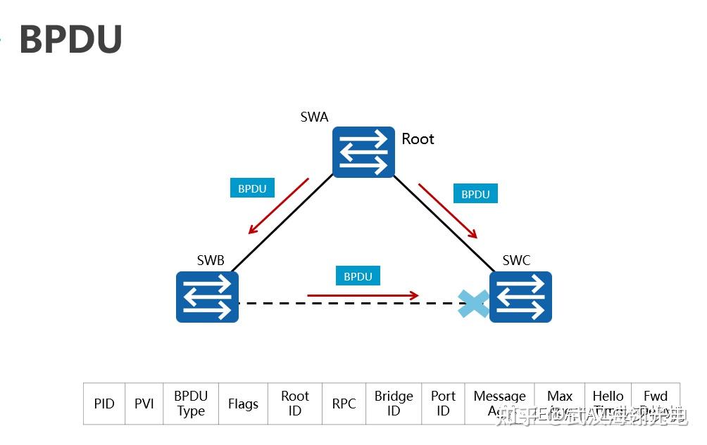 STP生成树协议（超详细小白也能看懂） - 知乎