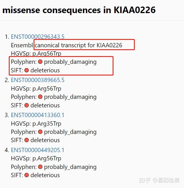 RUBCN基因总结 - 知乎
