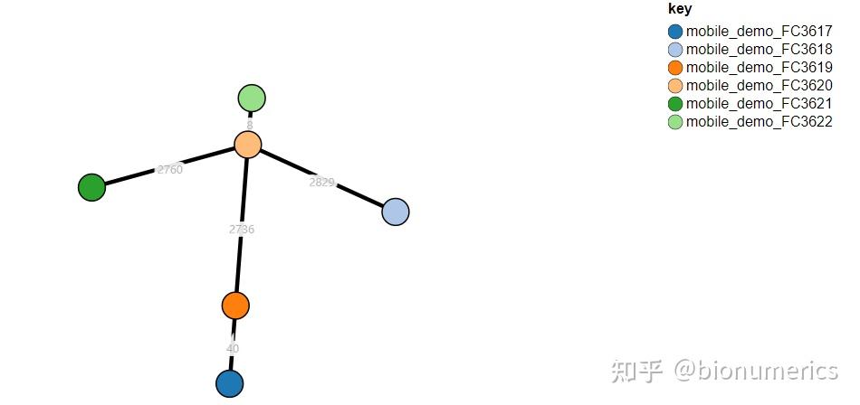 wgMLST/cgMLST分析 - 知乎