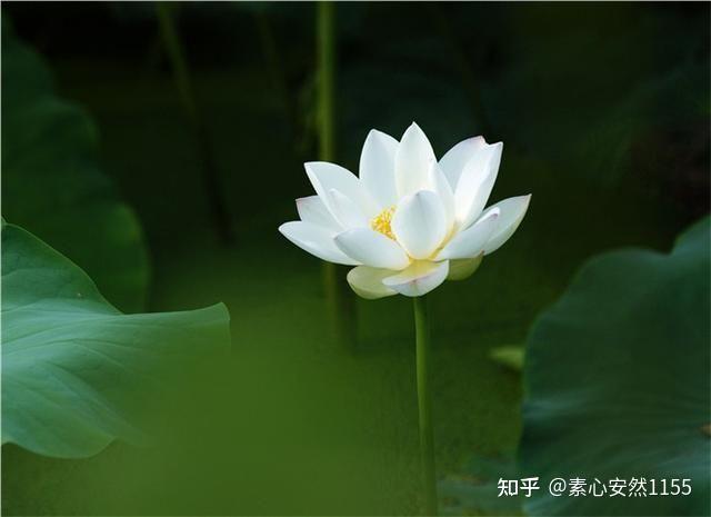 刘强东:这三种女人的行为像毒药,易出轨;男人要远离 知乎