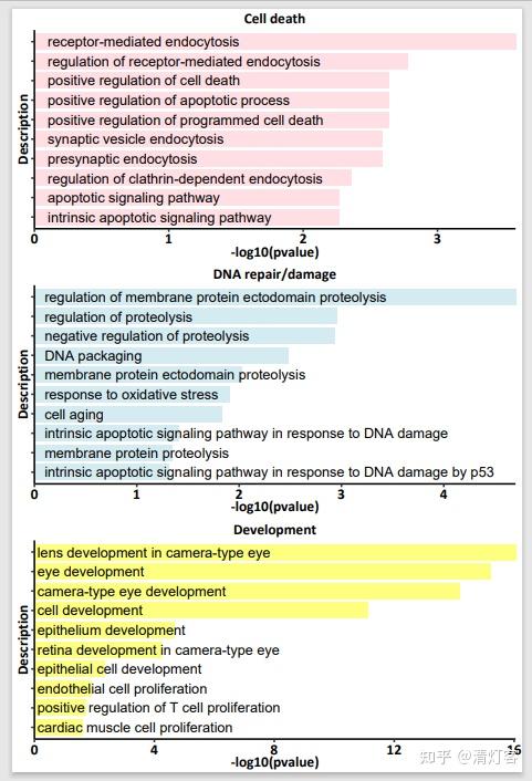 二、GO term按功能分类并作图 - 知乎