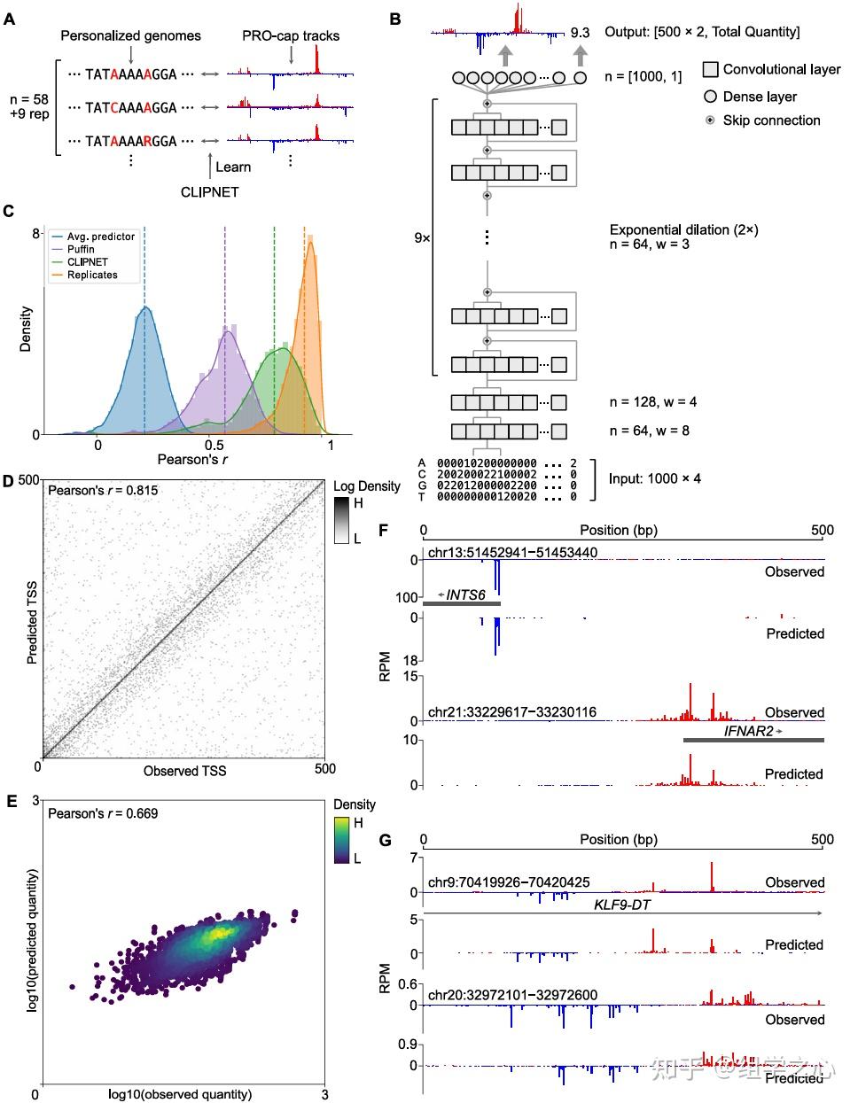 Nat Rev Genet | 如果DNA序列能“说话”？深度学习S2E（序列2表达）模型正在听懂基因组的调控秘密！ - 知乎
