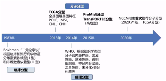 子宫内膜癌分子分型学习笔记 - 知乎