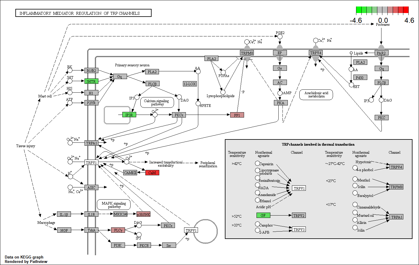 R|clusterProfiler-富集分析 - 知乎