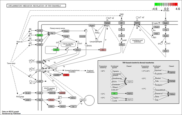 R|clusterProfiler-富集分析 - 知乎