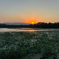 tts：fish-speech的使用教程【windows】 - 知乎