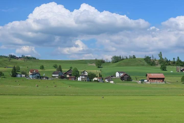 flex布局下align-self的使用 - 知乎