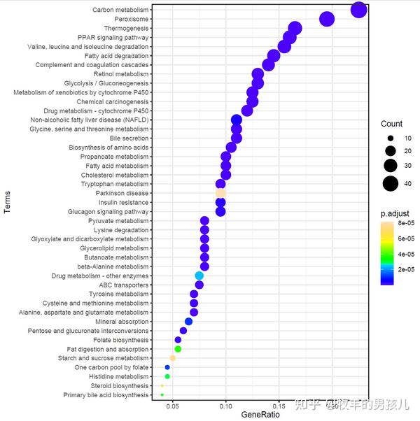 R语言ggplot2画气泡图展示富集分析的结果 知乎 