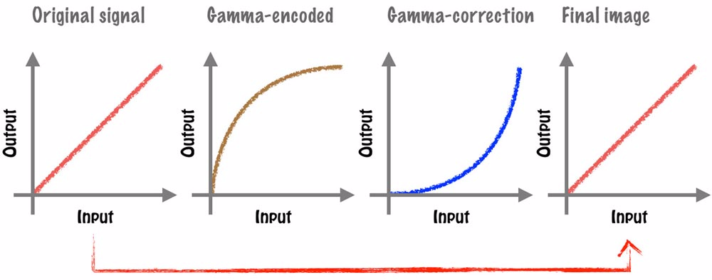 到底什么是伽马校正 Gamma Correction?——节选自《高兴说显示进阶篇之三》 - 知乎