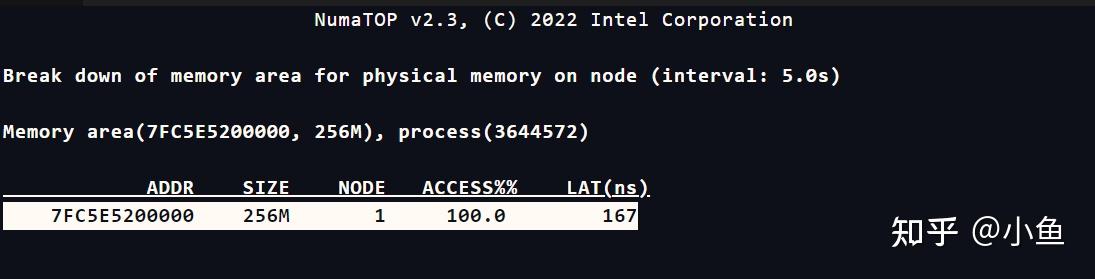【Linux工具系列】Numa观测工具NumaTOP - 知乎