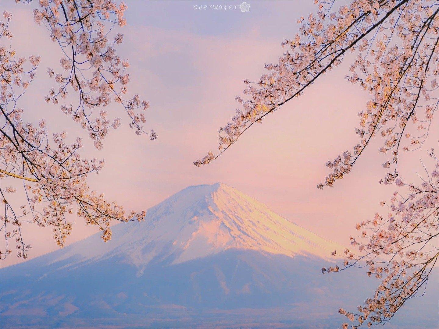 有什么好看的iPad横屏壁纸呀? - 知乎