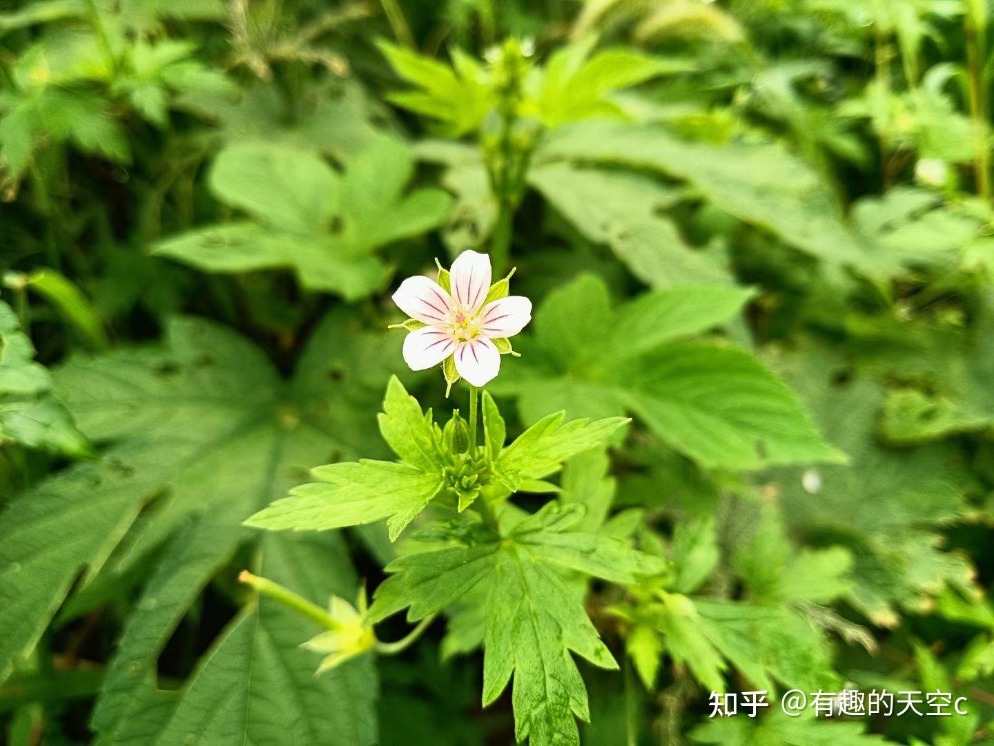 求推荐一些好书，有思想深度的书 知乎