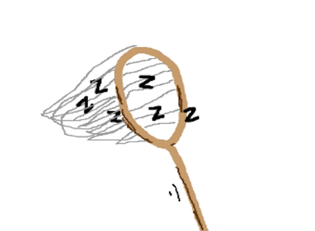 Catch some z's | 为什么人们常用 Zzzz 来指代睡眠？ - 知乎
