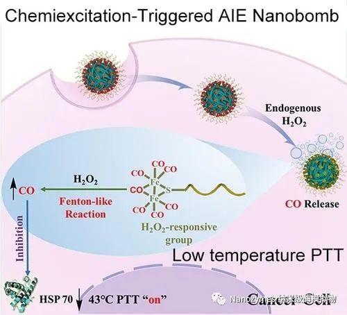 【Angew.Chem.Int.Ed】用于一氧化碳促进低温光热治疗的H2O2响应NIR-II AIE纳米弹 - 知乎