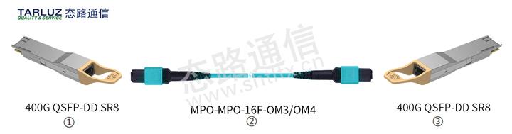 态路小课堂丨MPO/MTP-16光纤跳线 - 知乎