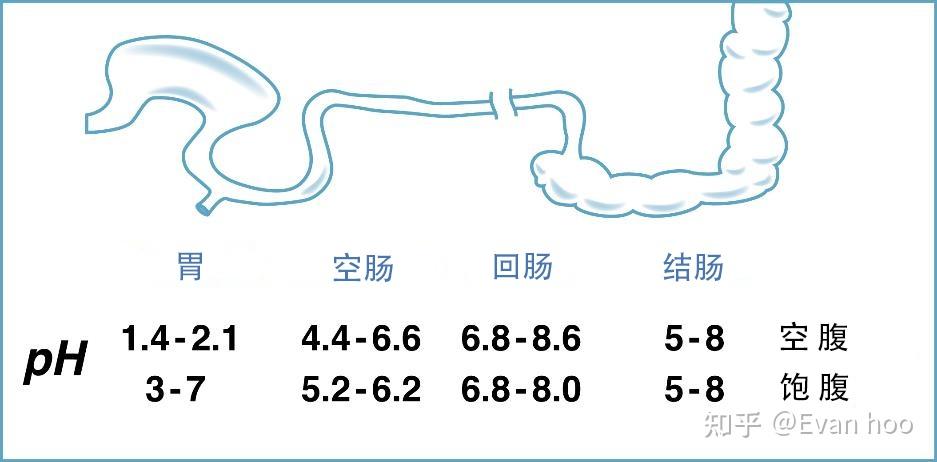 化合物的脂溶性评价：logP和logD的区别与应用 - 知乎